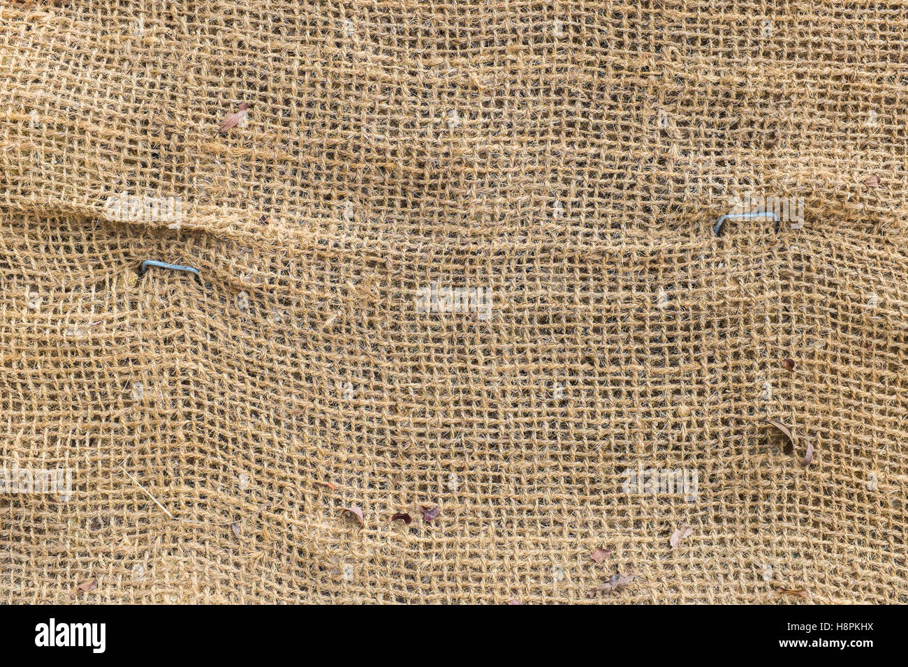 Creased Linen with rough texture Stock Photo - Alamy