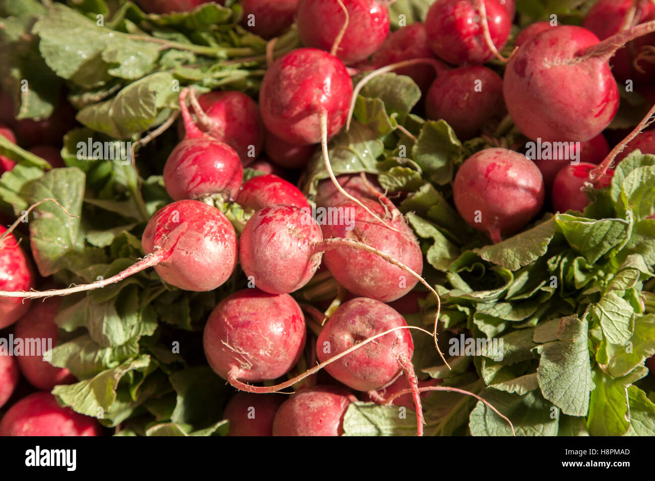 Red Radish Vegetable Background on Market Stall Stock Photo - Alamy
