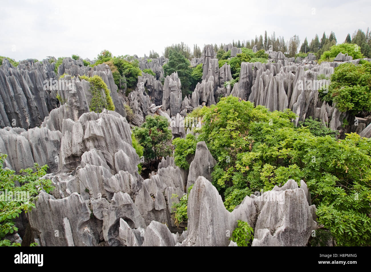 Shilin Stone Forest, Kunming, China, Asia Stock Photo - Alamy
