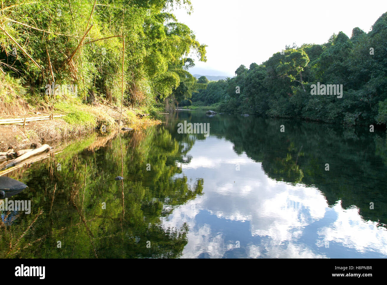 River of Roches on Reunion Island, France Stock Photo - Alamy