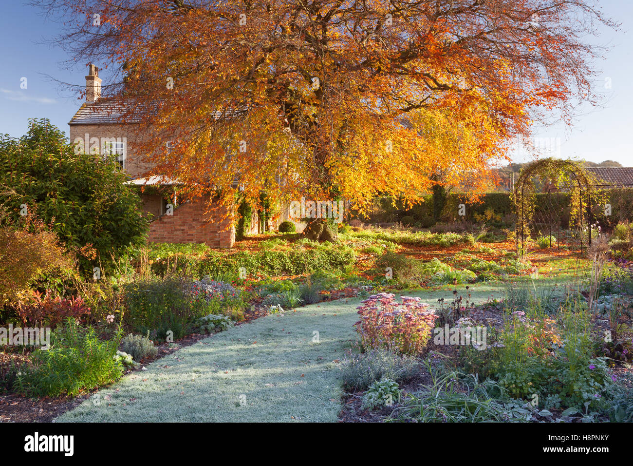 Frost garden hi-res stock photography and images - Alamy