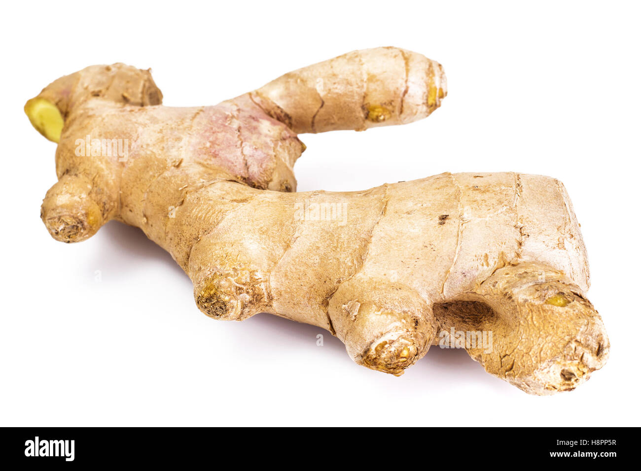 Fleshy fragrant ginger root Stock Photo - Alamy