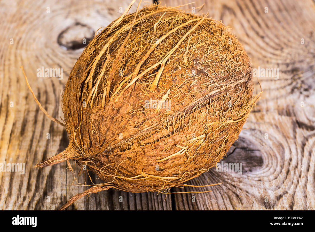 Big brown ripe coconut Stock Photo - Alamy