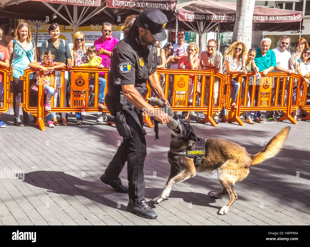 K9 drug detection dog public exhibit Stock Photo - Alamy