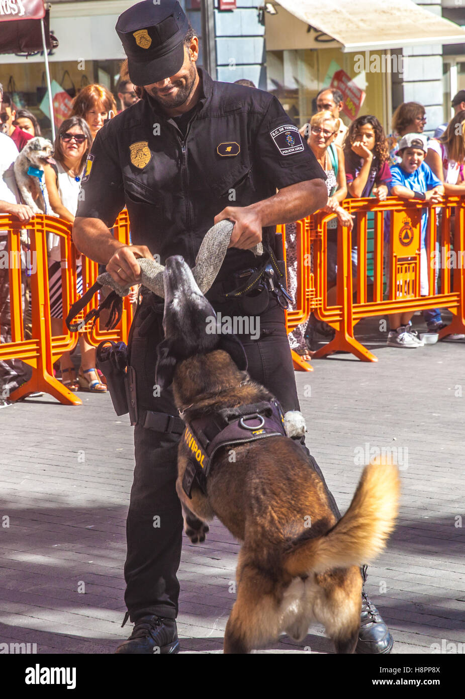 K9 drug detection dog public exhibit Stock Photo - Alamy