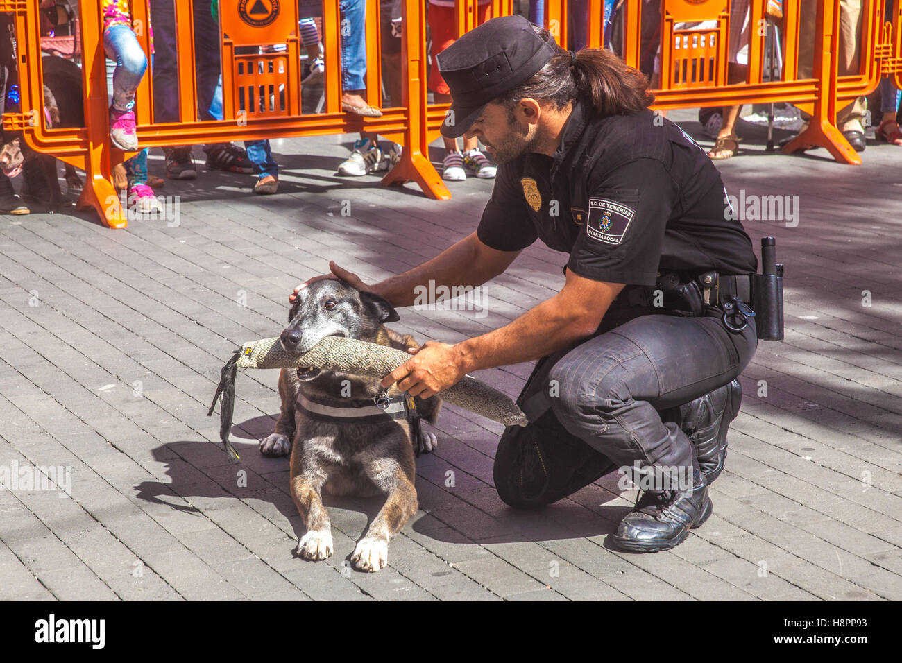 K9 drug detection dog public exhibit Stock Photo - Alamy