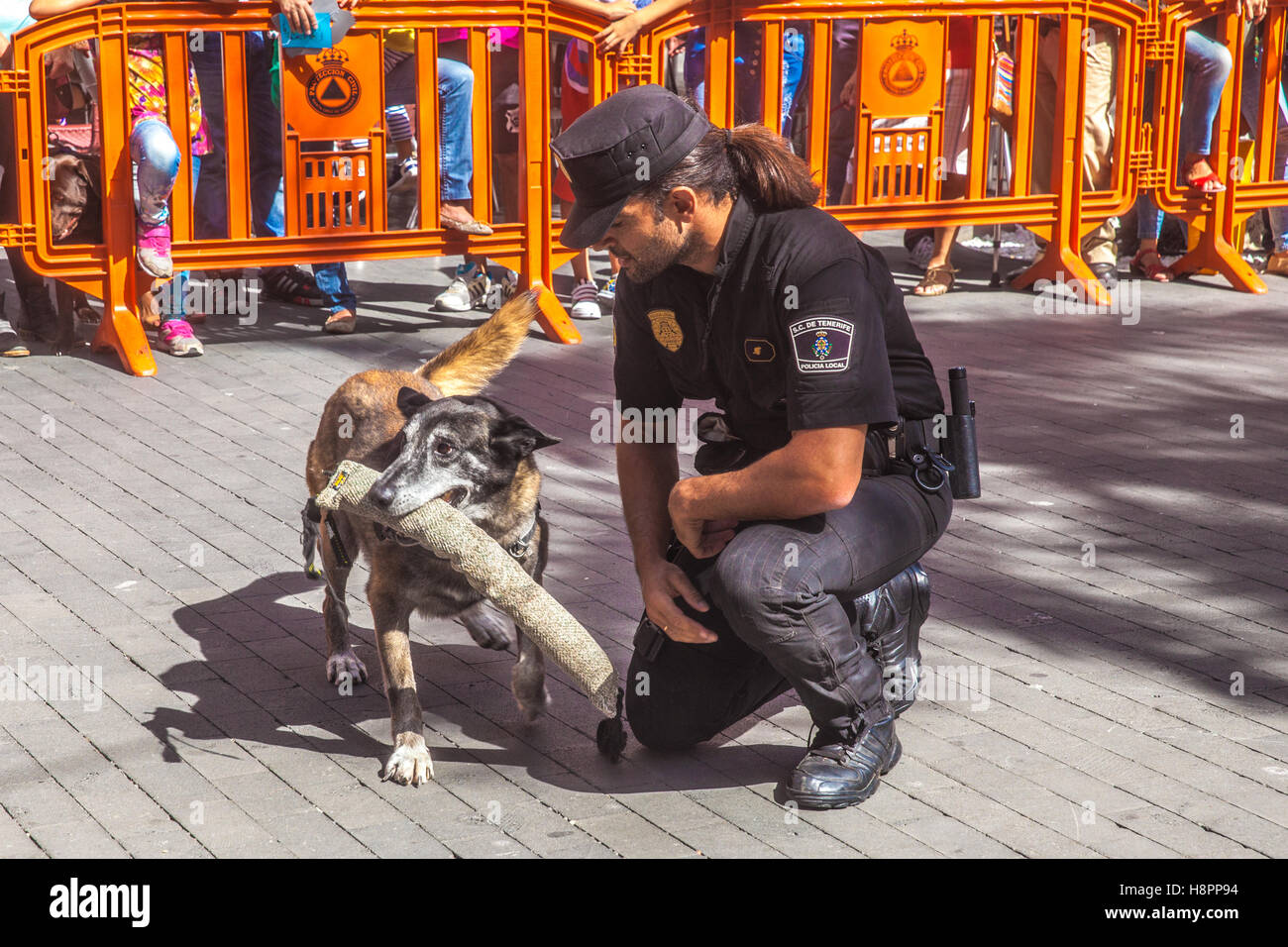 K9 drug detection dog public exhibit Stock Photo - Alamy