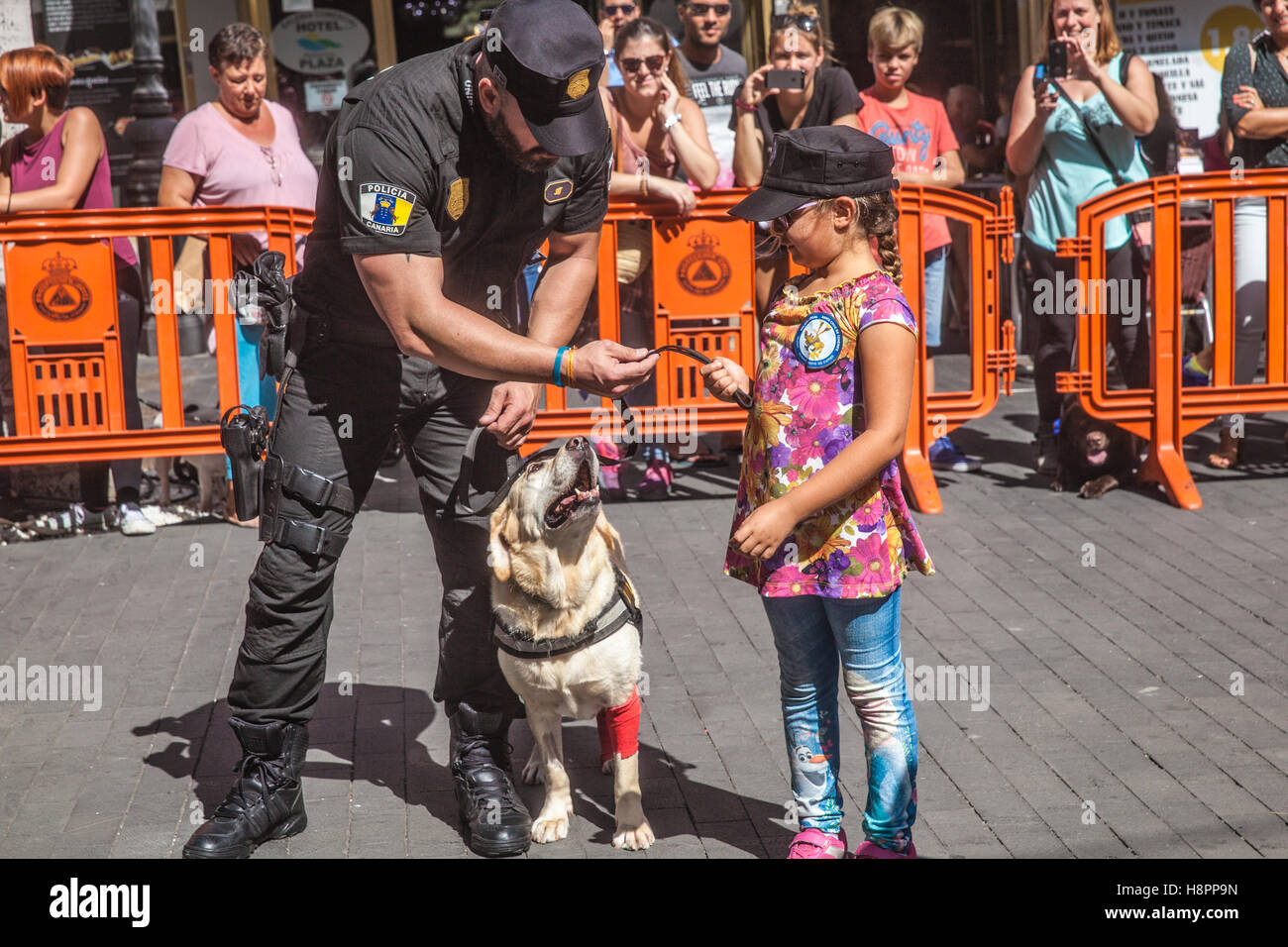 K9 drug detection dog public exhibit Stock Photo - Alamy