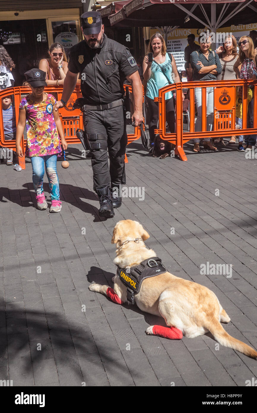 K9 drug detection dog public exhibit Stock Photo - Alamy
