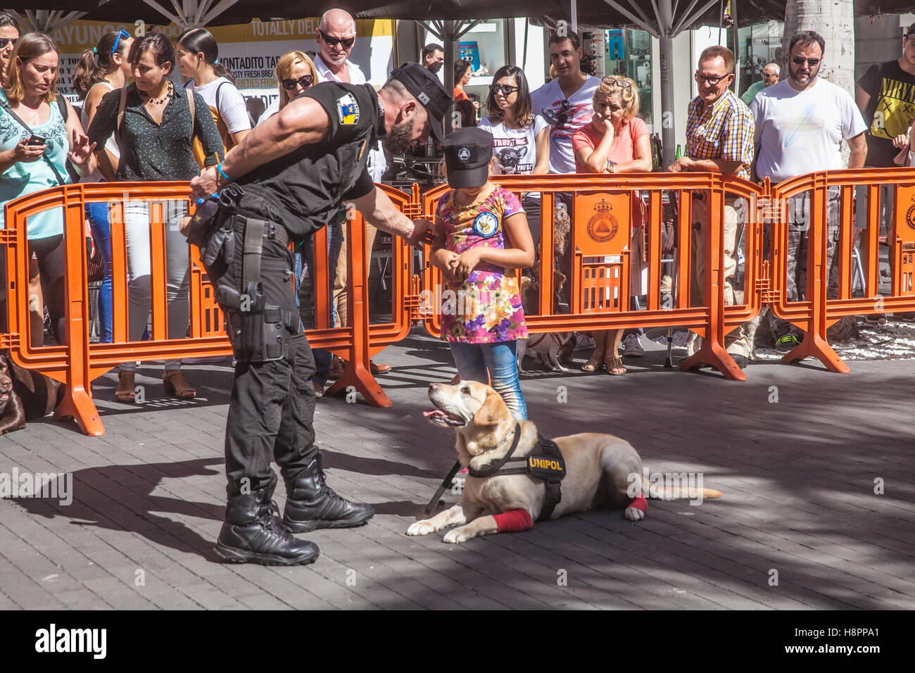 K9 drug detection dog public exhibit Stock Photo - Alamy