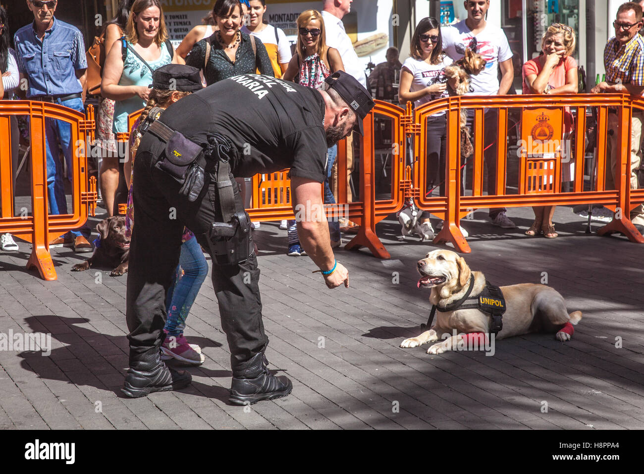 K9 drug detection dog public exhibit Stock Photo - Alamy