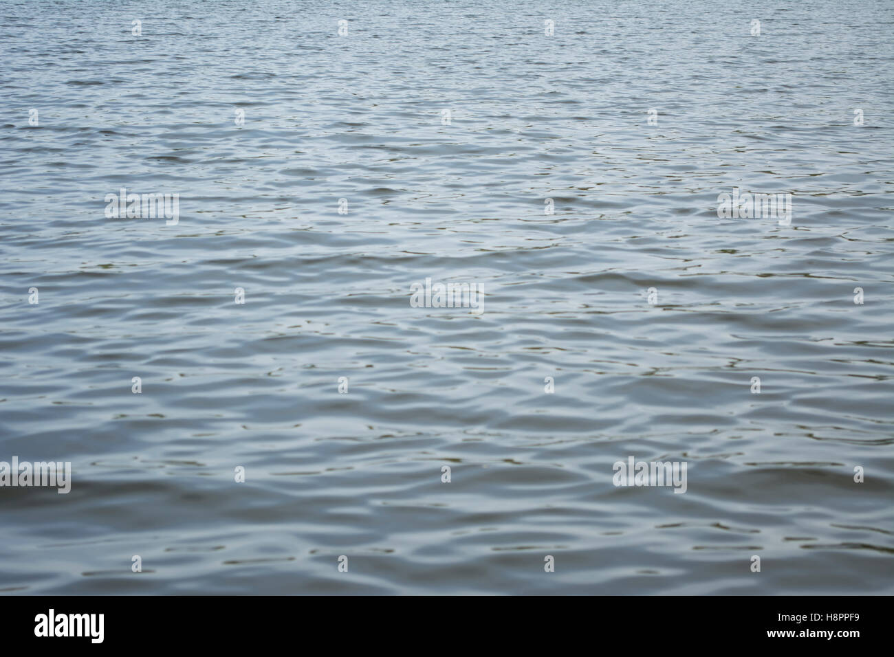 waves in the lake Stock Photo - Alamy