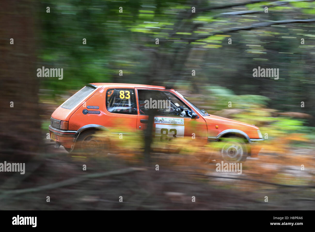 A rally car on the Crabtree stage of the 2016 Wyedean Rally in the ...