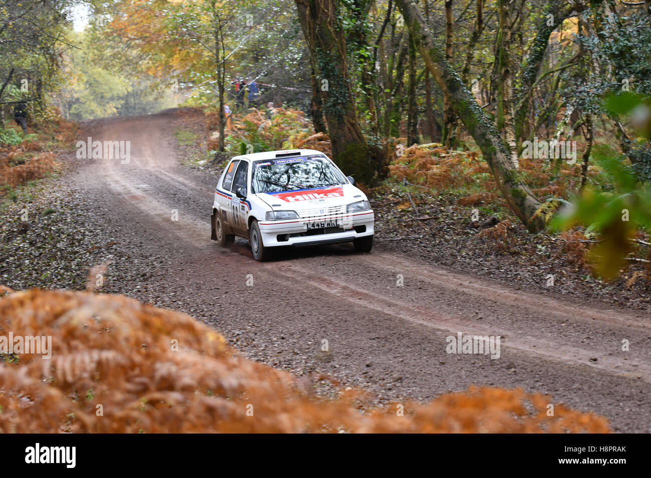 A rally car on the Crabtree stage of the 2016 Wyedean Rally in the ...