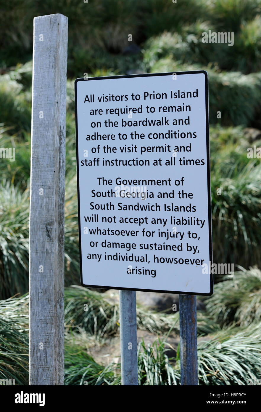 Sign on Prion Island warning visitors to keep to the boardwalk and that ...