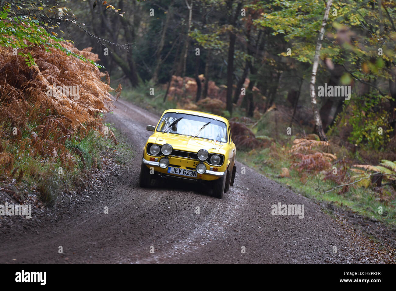 A rally car on the Crabtree stage of the 2016 Wyedean Rally in the ...