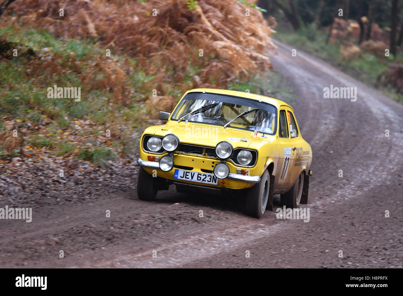 A rally car on the Crabtree stage of the 2016 Wyedean Rally in the ...