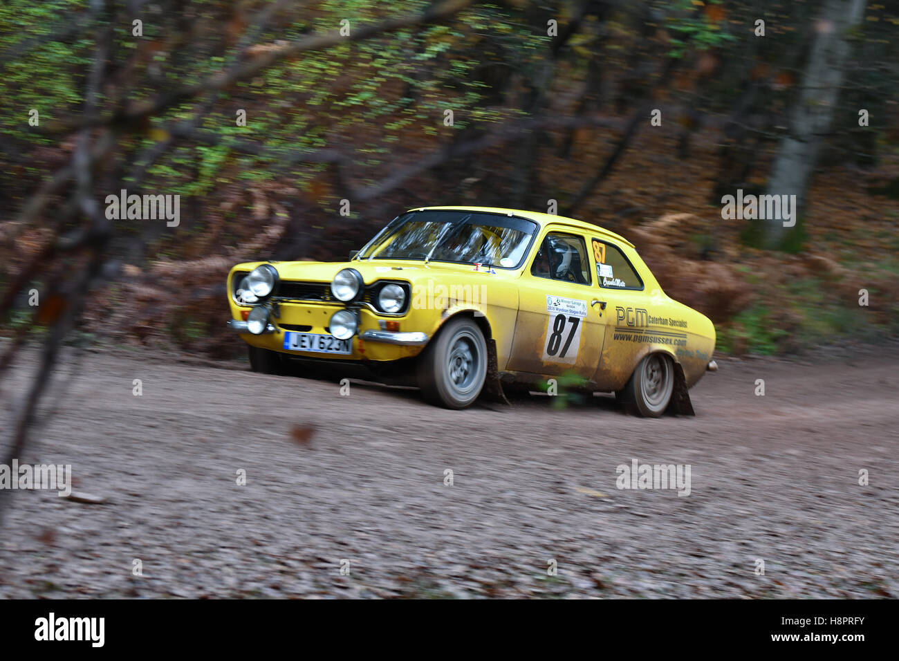 A rally car on the Crabtree stage of the 2016 Wyedean Rally in the ...