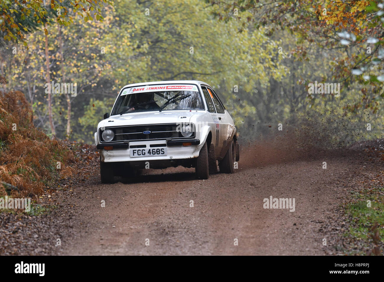 A rally car on the Crabtree stage of the 2016 Wyedean Rally in the ...