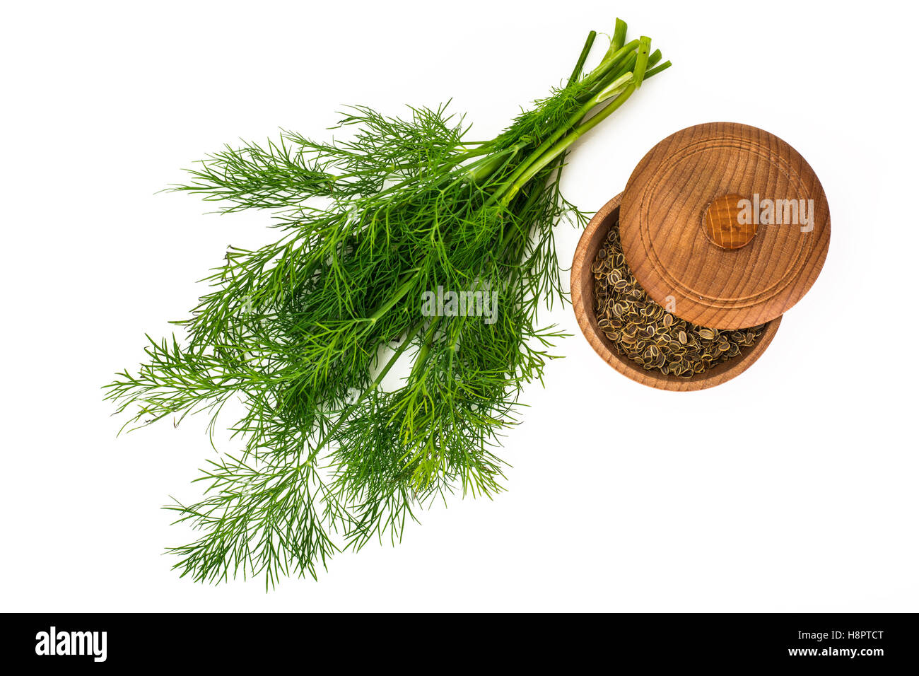 Fresh Juicy Dill Isolated on White Background Stock Photo - Alamy