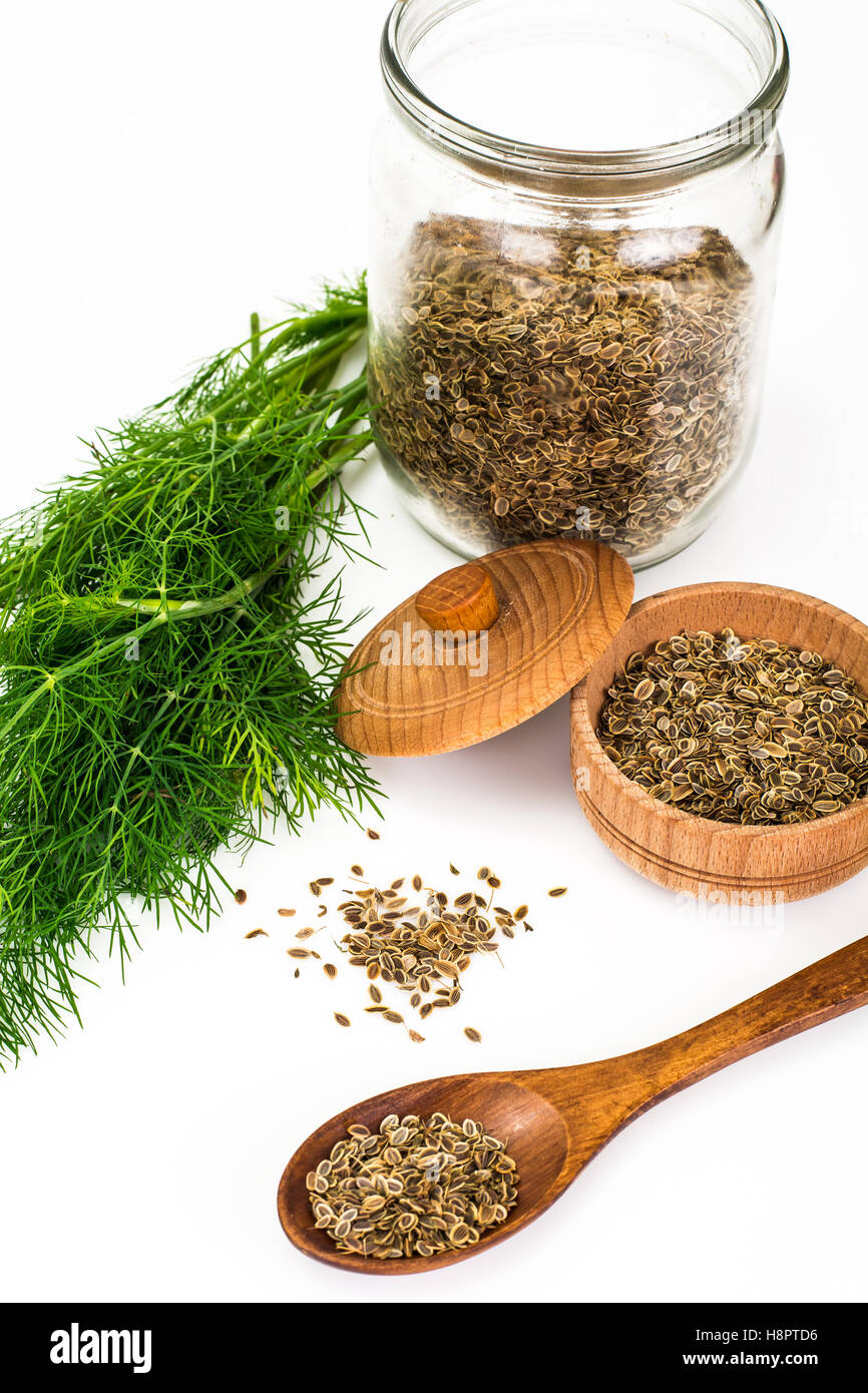 Fresh Juicy Dill Isolated on White Background Stock Photo - Alamy