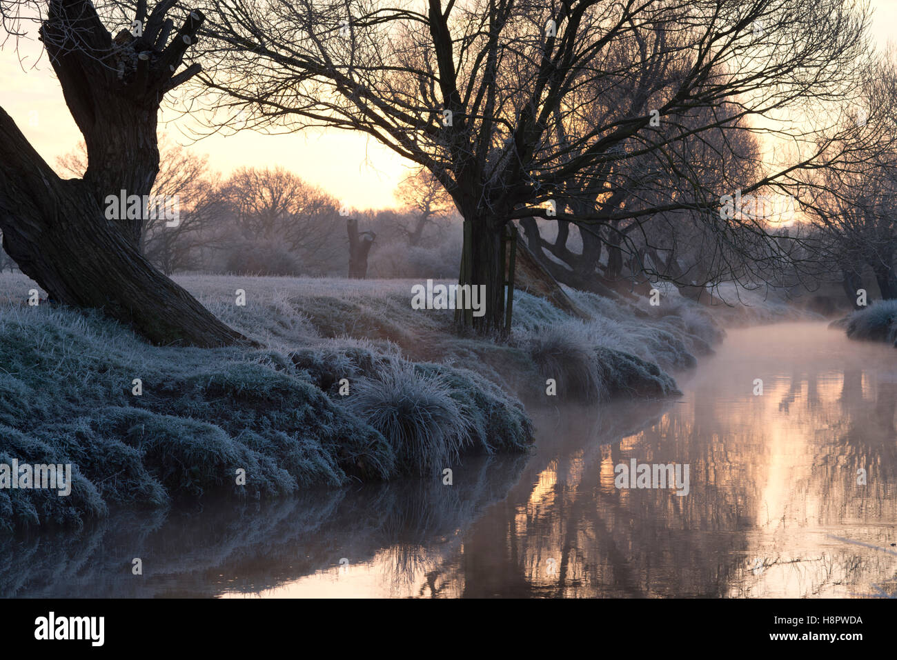 Richmond park winter hi-res stock photography and images - Alamy
