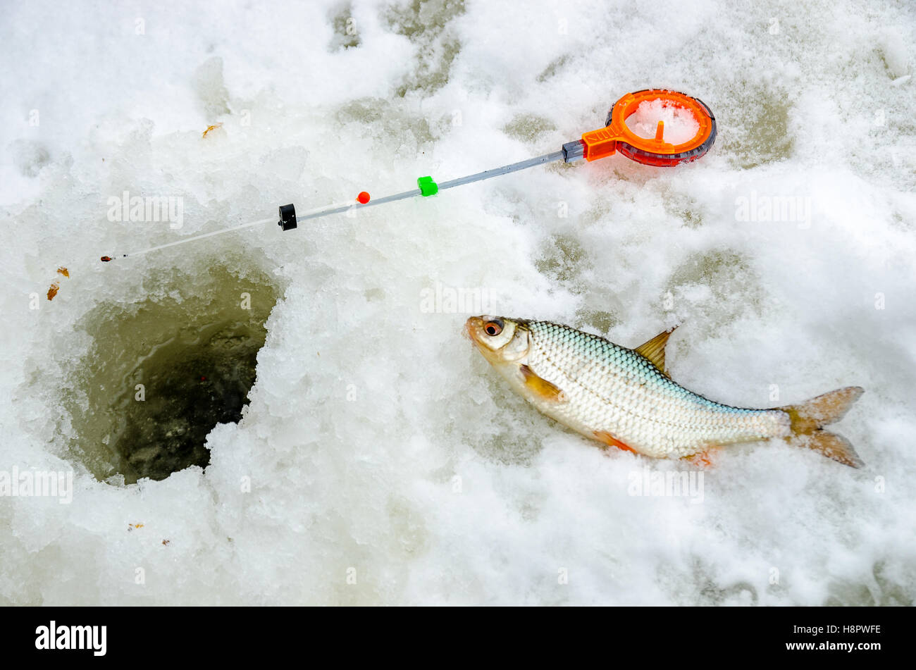 Fish ice russia hi-res stock photography and images - Alamy
