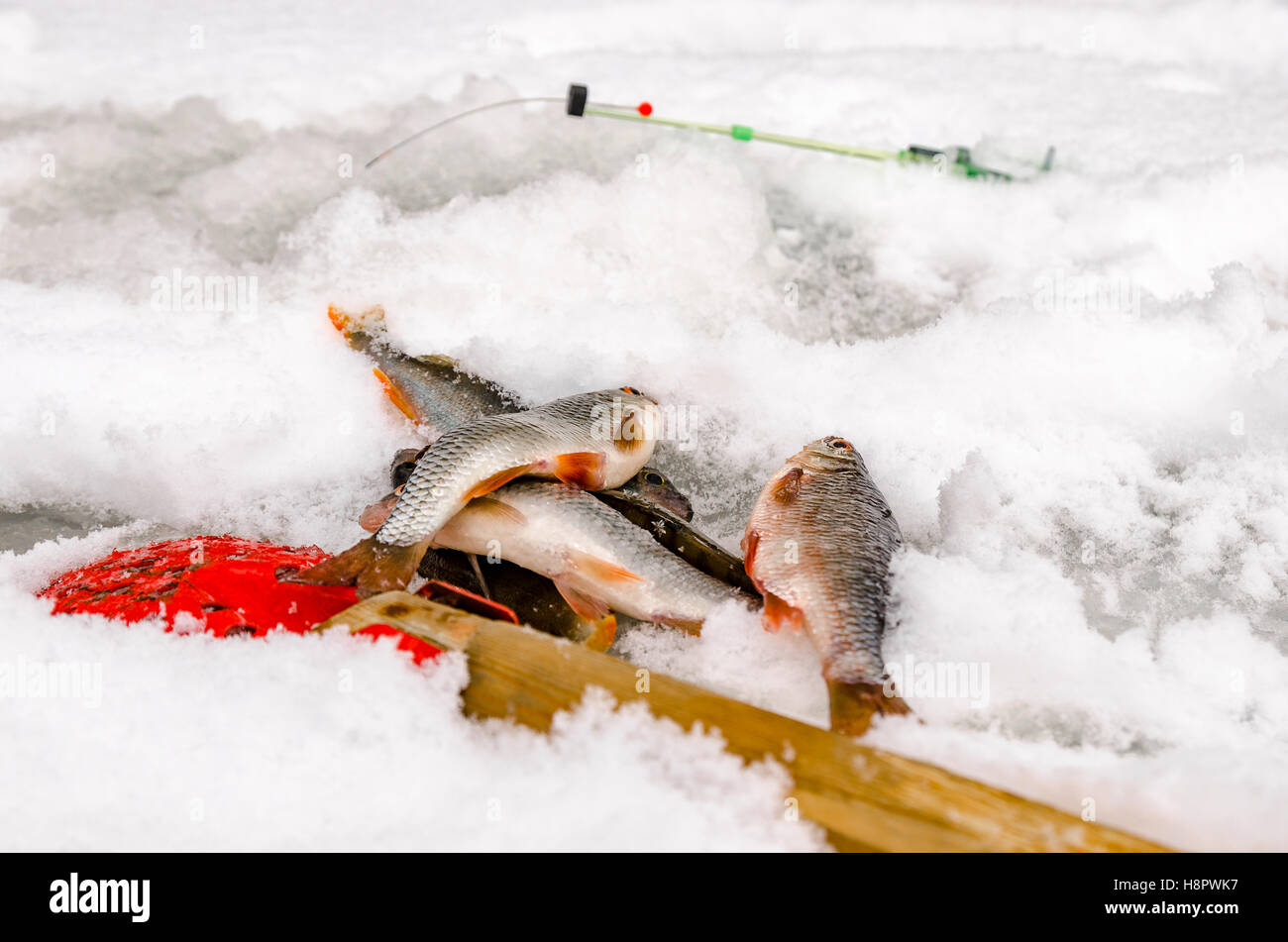 Small fry hi-res stock photography and images - Alamy