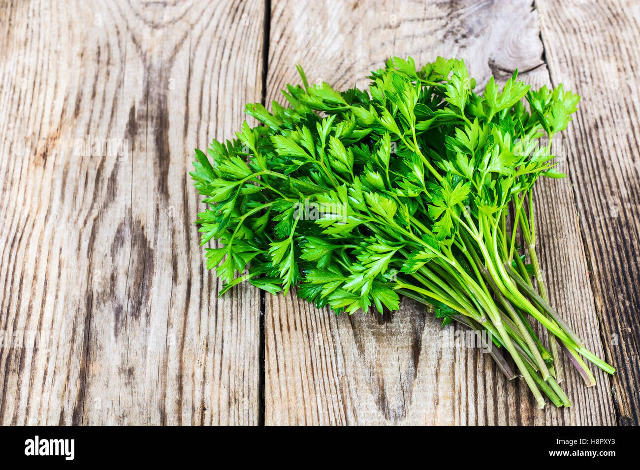 Fresh Green Parsley Stock Photo - Alamy