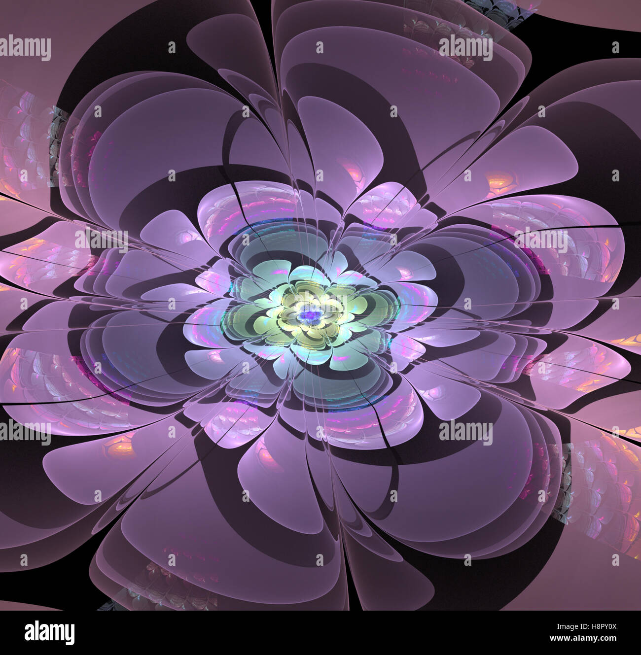 Fractal flower hi-res stock photography and images - Alamy