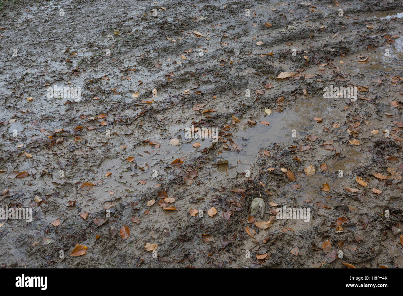 Muddy and waterlogged autumnal / winter country tracks / trails ...