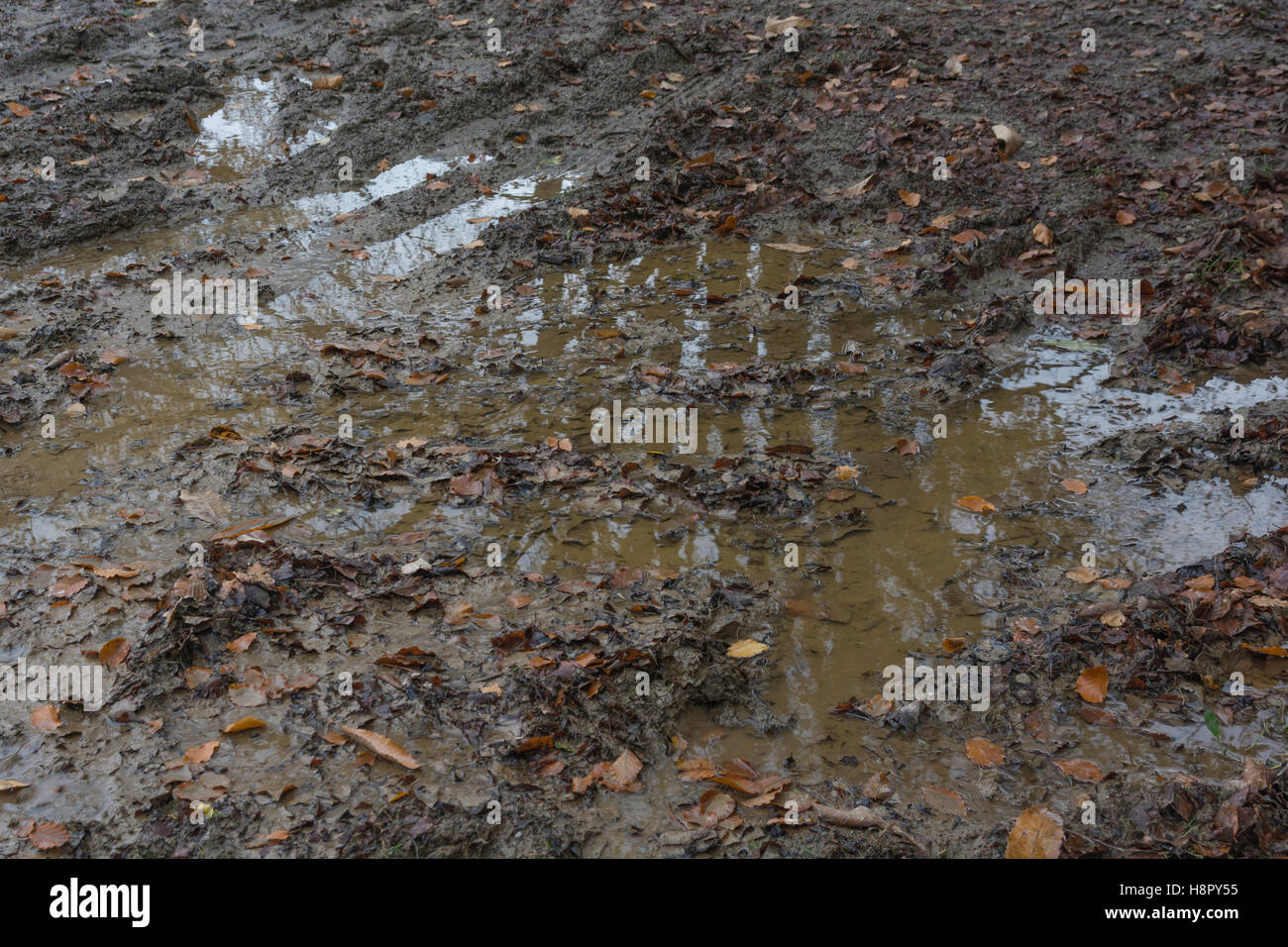 Mucky soil hi-res stock photography and images - Alamy