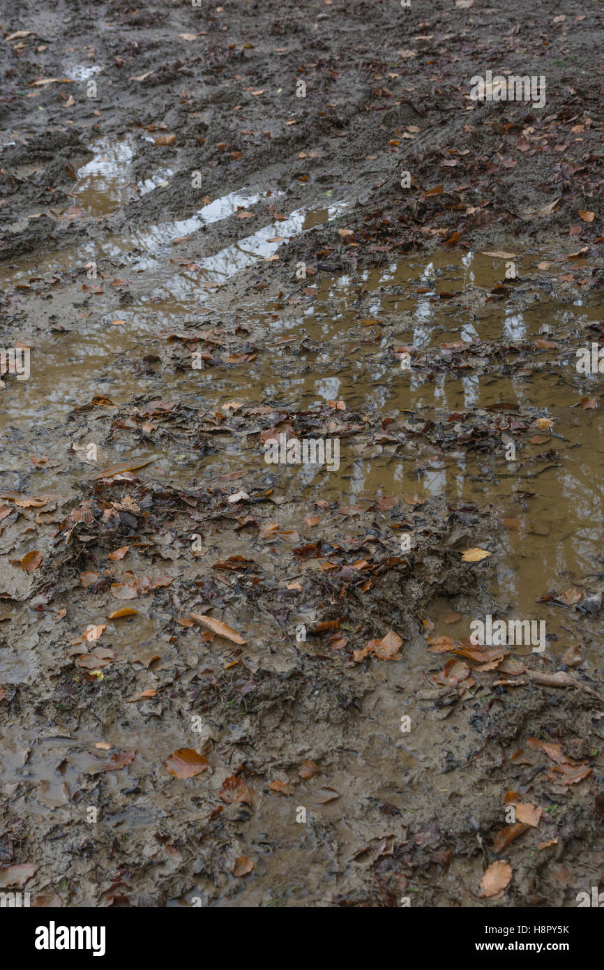 Muddy and waterlogged autumnal / winter country tracks / trails ...