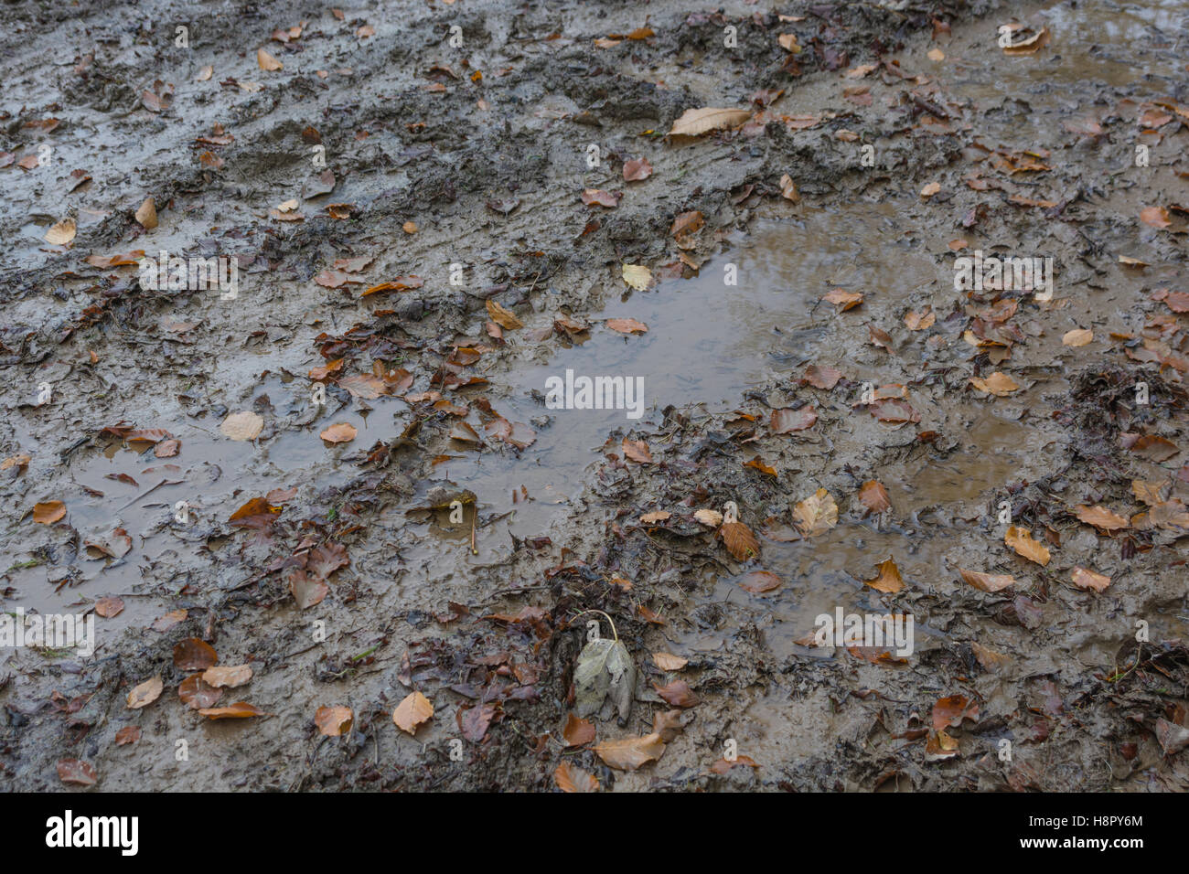 Mucky soil hi-res stock photography and images - Alamy