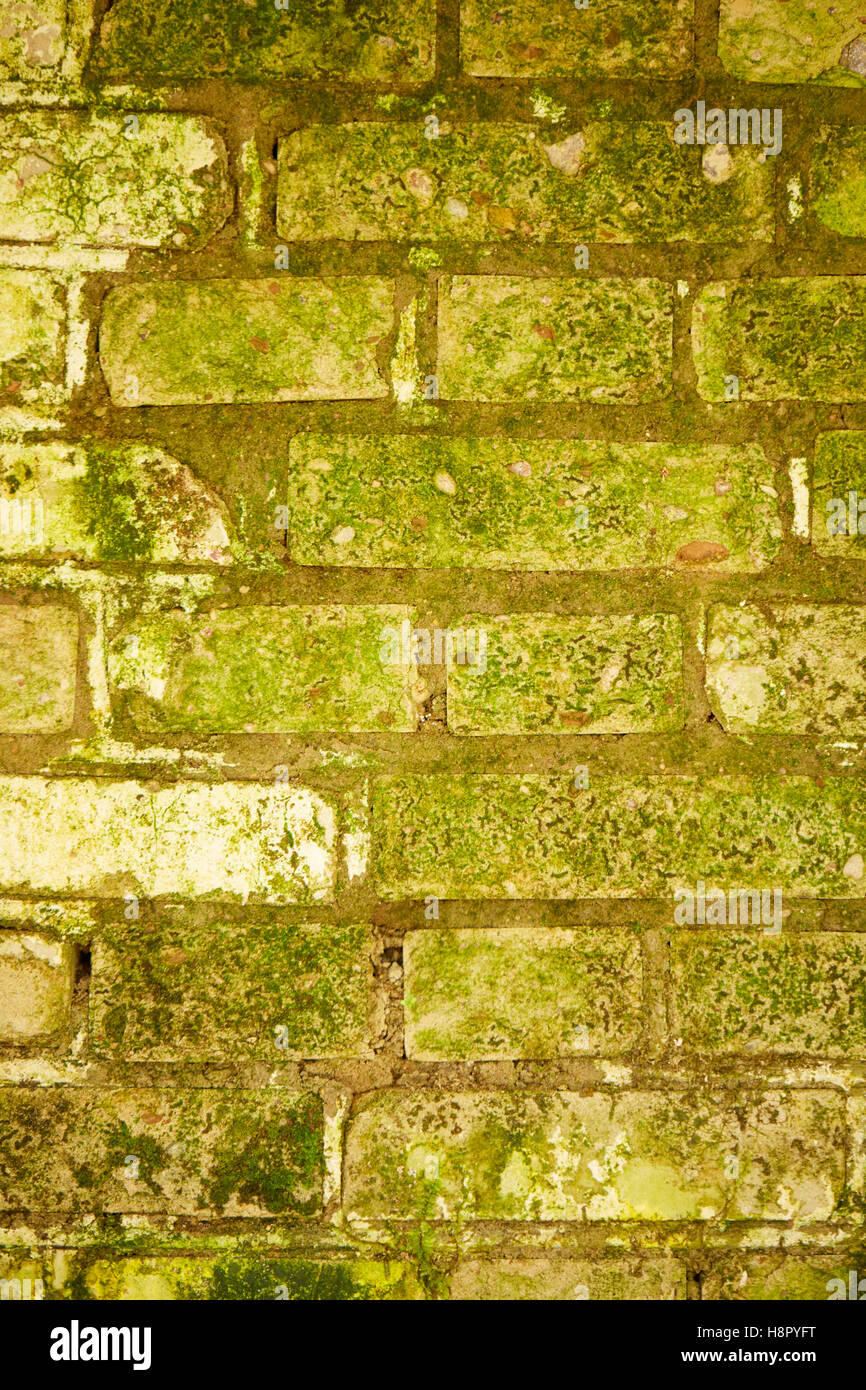 old brick wall Stock Photo - Alamy