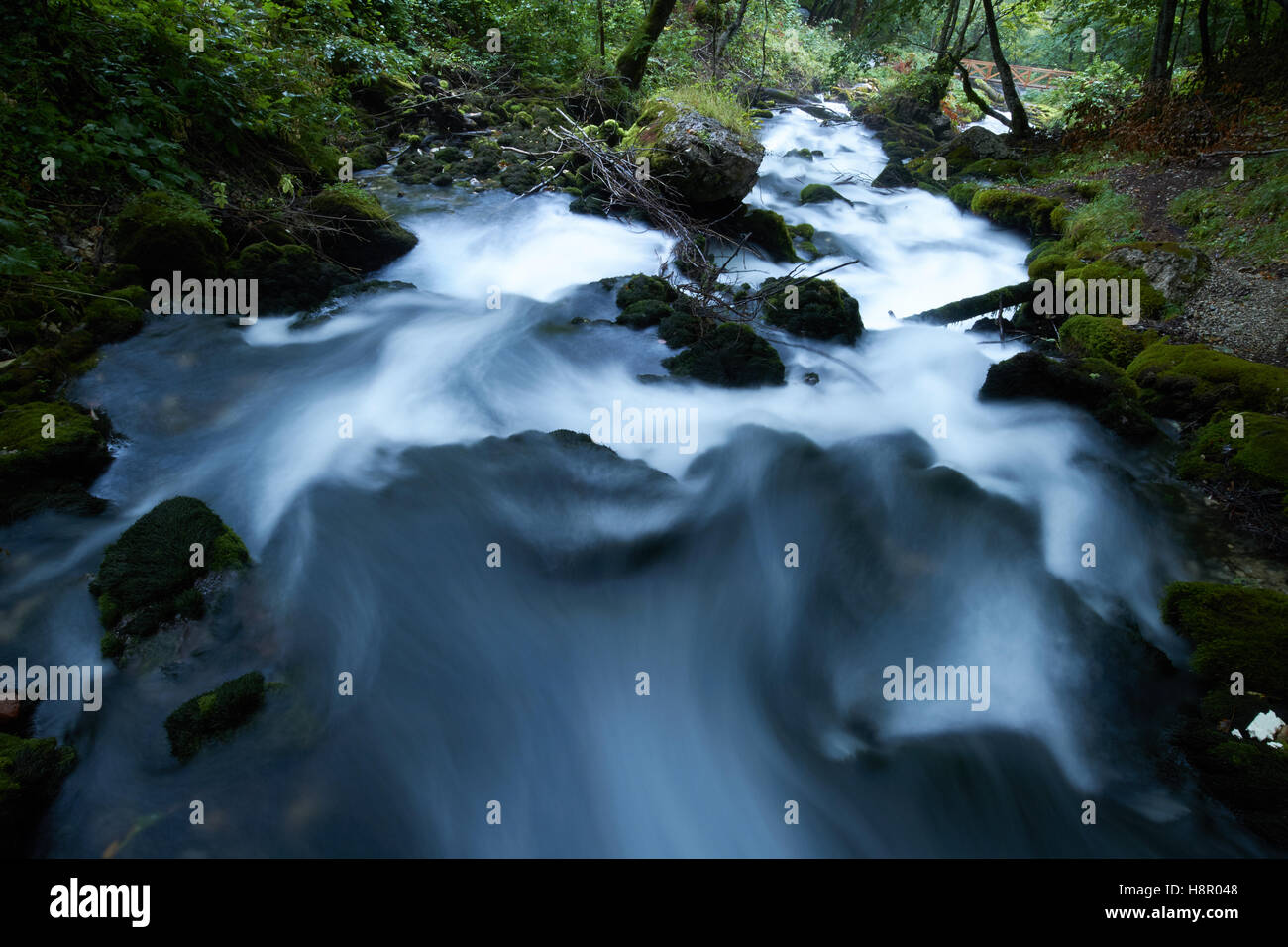 fast flowing rivers in the forests of Montenegro Stock Photo - Alamy