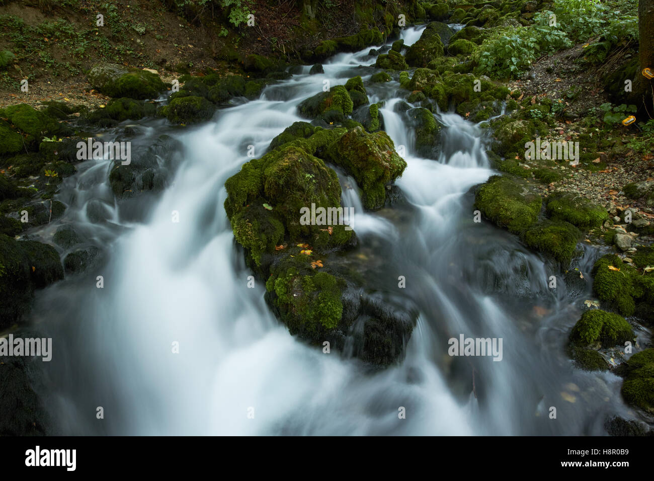 fast flowing rivers in the forests of Montenegro Stock Photo - Alamy