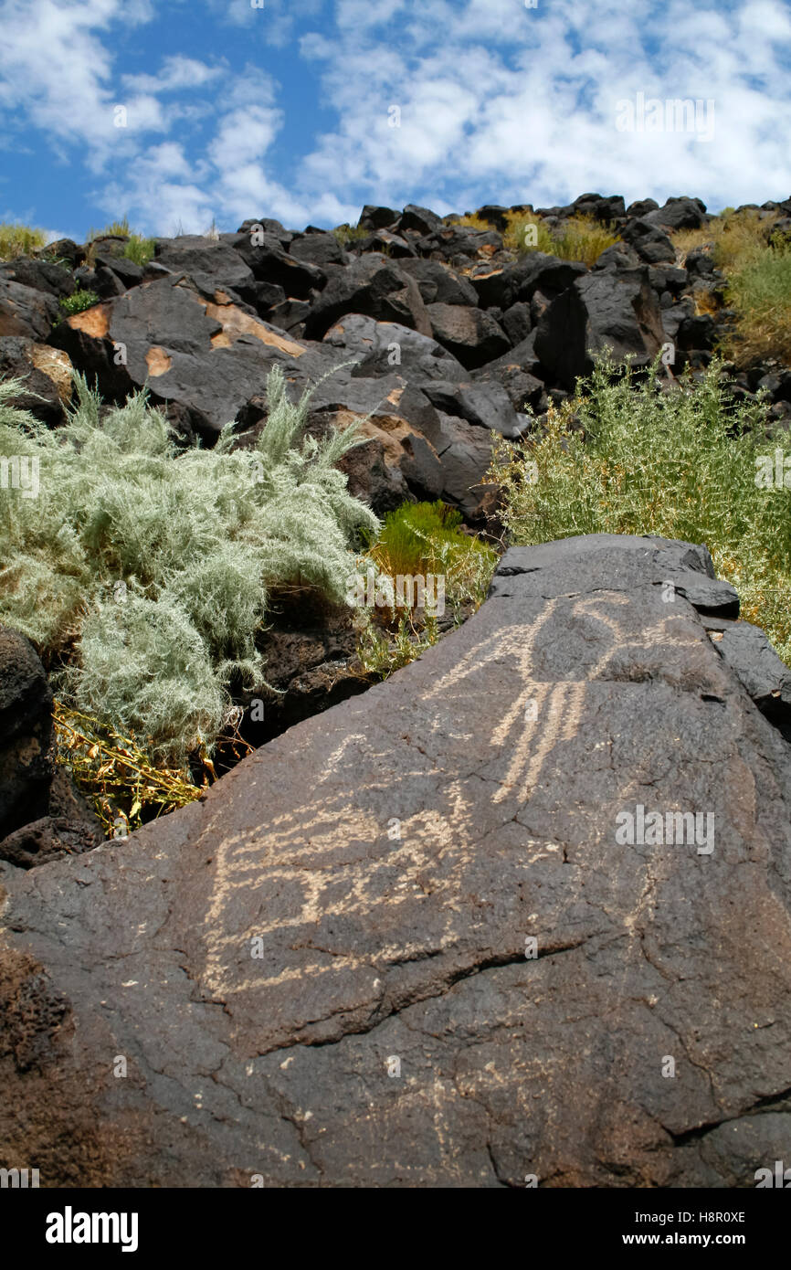Albuquerque desert landscape hi-res stock photography and images - Alamy