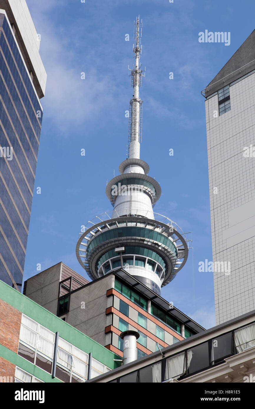 The modern buildings and a tower in Auckland downtown (New Zealand ...