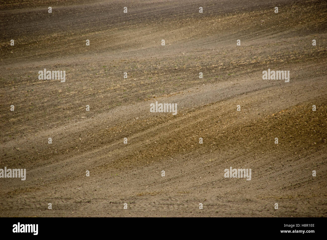 agriculture brown soil at the end of summer Stock Photo - Alamy