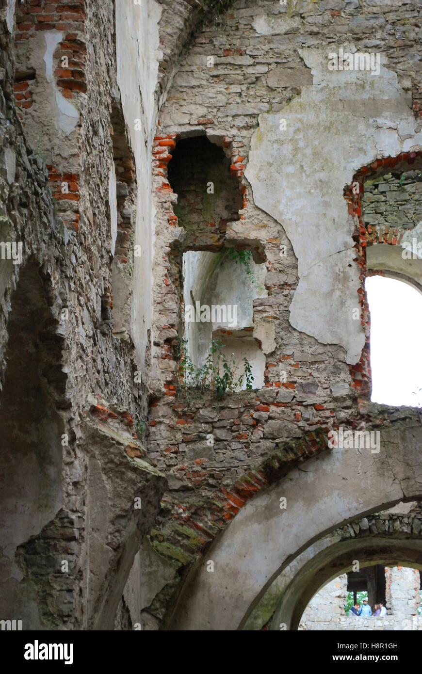 old castle ruins with some plants growing on walls Stock Photo - Alamy