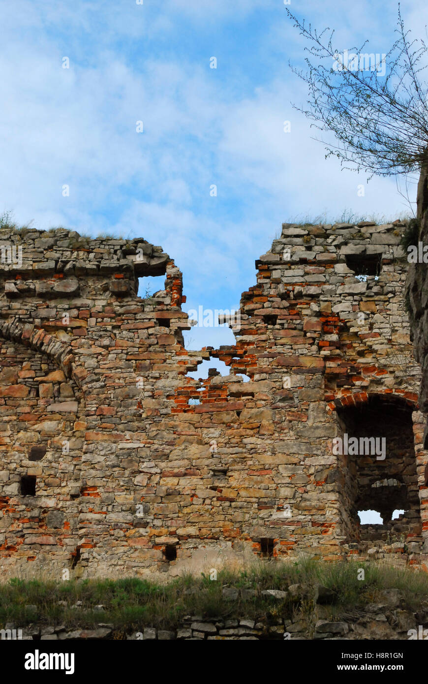 Old castle ruins plants growing hi-res stock photography and images - Alamy