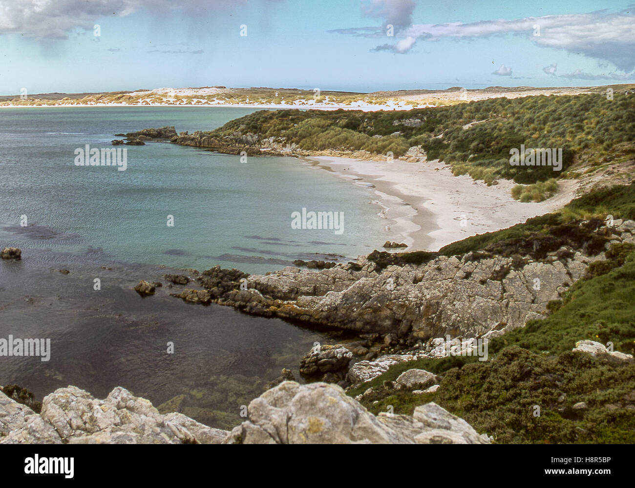 Gypsy Cove, Falkland Islands. 7th Feb, 2003. A secluded crescent of ...