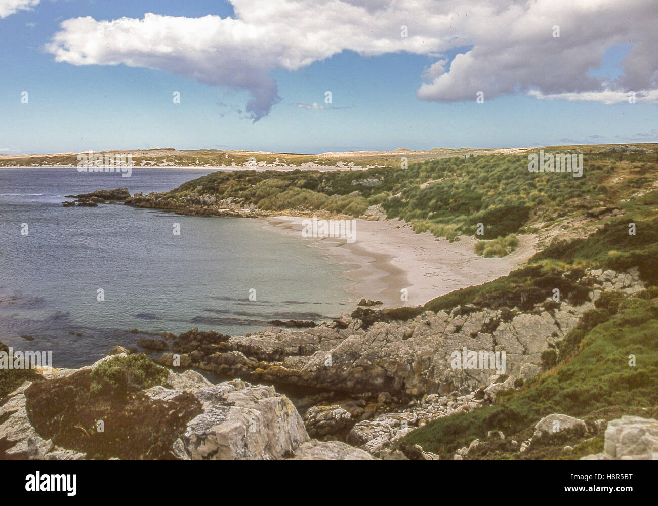 Gypsy Cove, Falkland Islands. 7th Feb, 2003. A secluded crescent of ...