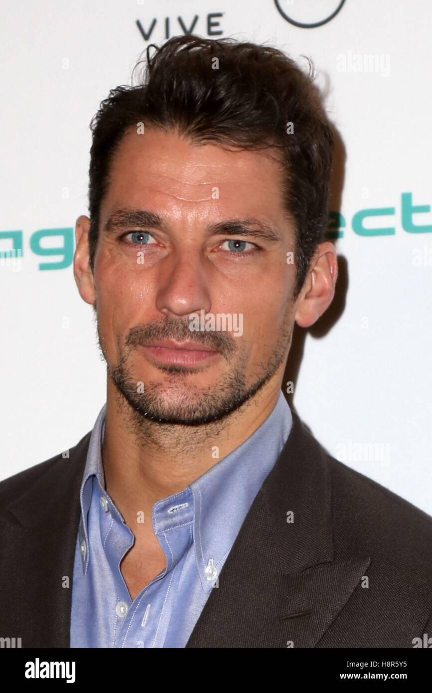 Los Angeles, CA, USA. 14th Nov, 2016. David Gandy in attendance for ...