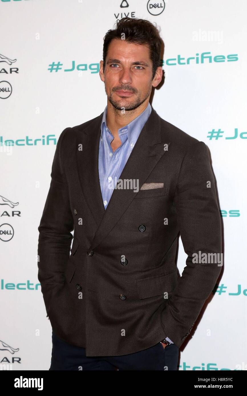 Los Angeles, CA, USA. 14th Nov, 2016. David Gandy in attendance for ...
