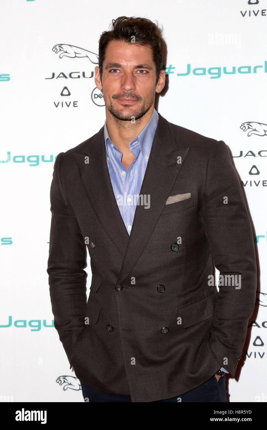 Los Angeles, CA, USA. 14th Nov, 2016. David Gandy in attendance for ...