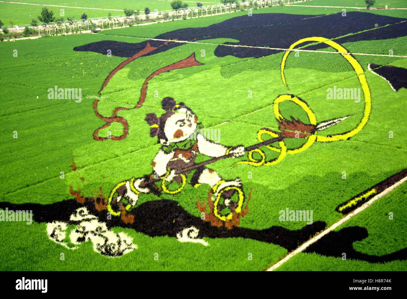 China rice paddy design hi-res stock photography and images - Alamy