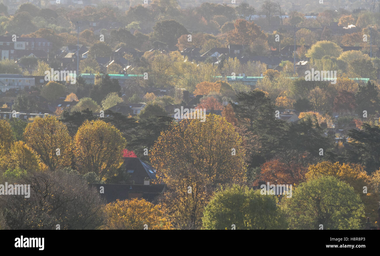 Wimbledon London,UK. 16th November 2016. UK weather. Wimbledon ...