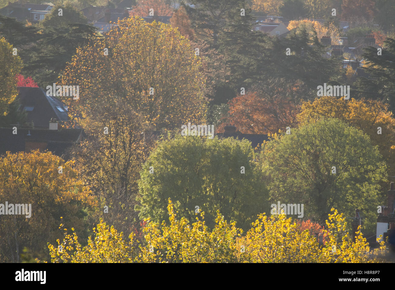 Wimbledon London,UK. 16th November 2016. UK weather. Wimbledon ...